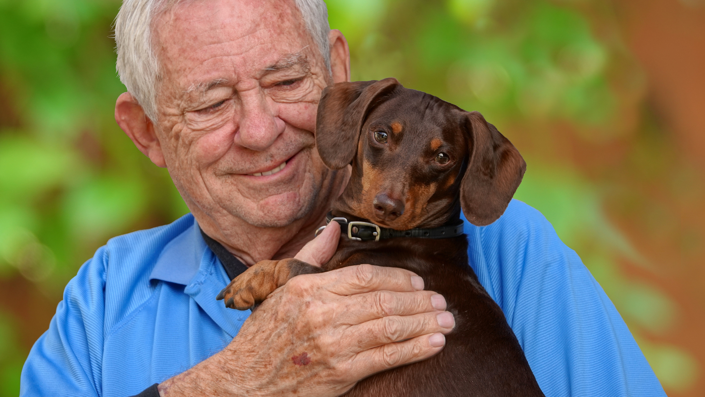 6 Tips for When Your “Grandpets” Come to Visit - Colonial Penn Insights